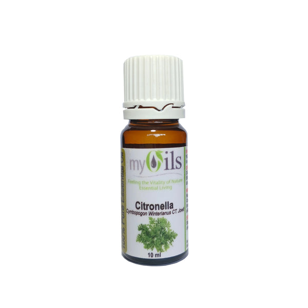 Citronella Essential Oil - 10ml – My Oils
