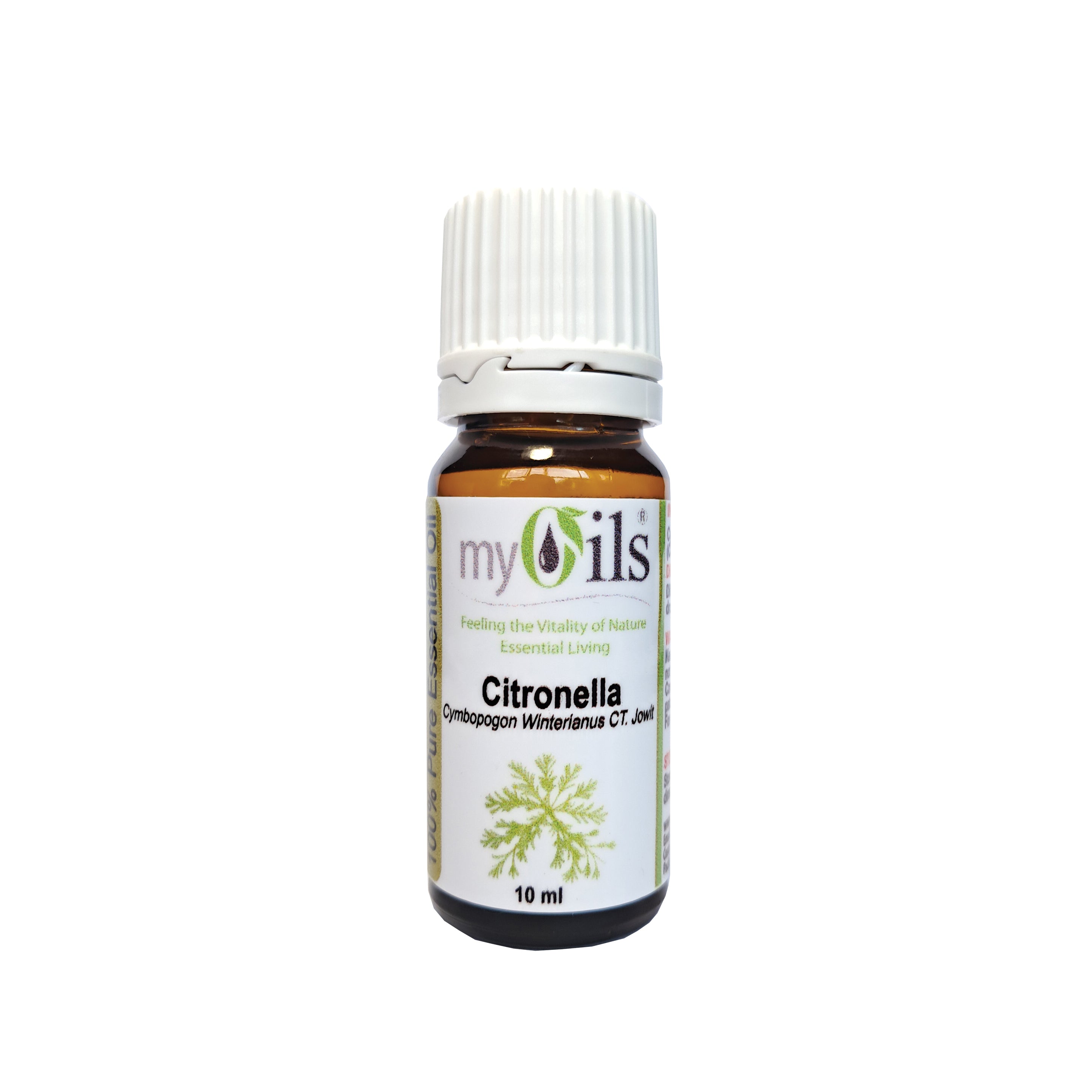 Citronella Essential Oil - 10ml – My Oils